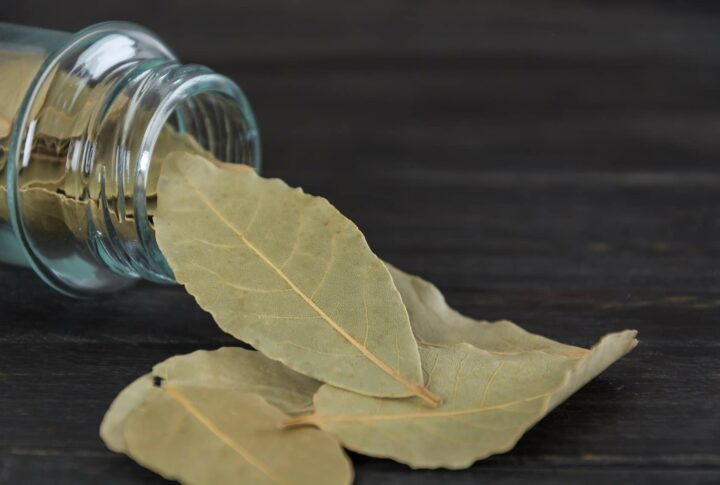 What Are Bay Leaves? | A Guide to Bay Leaves | Tilda Rice UK