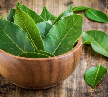 What Are Bay Leaves? | A Guide to Bay Leaves | Tilda Rice UK