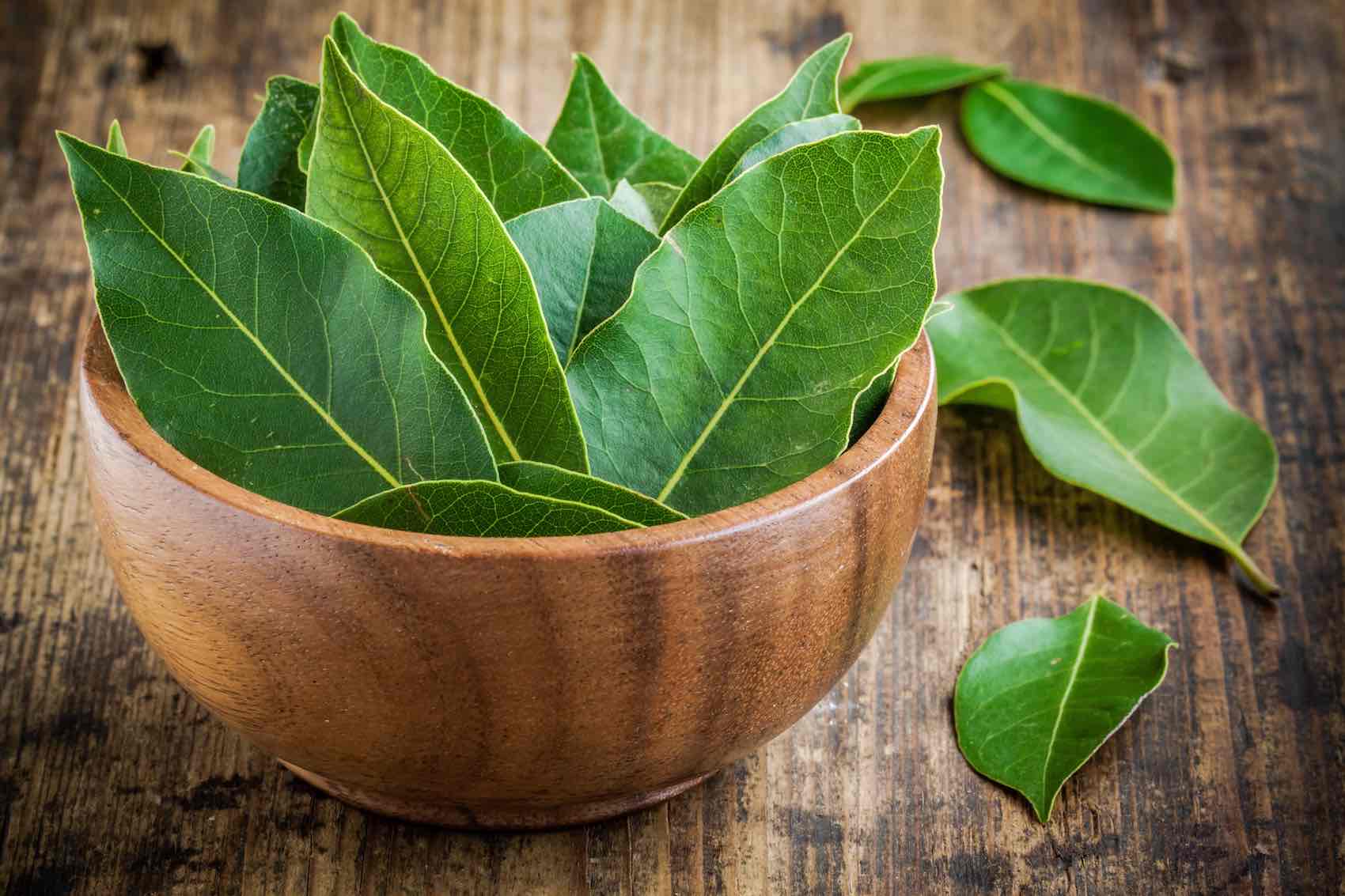 What Are Bay Leaves? | A Guide to Bay Leaves | Tilda Rice UK